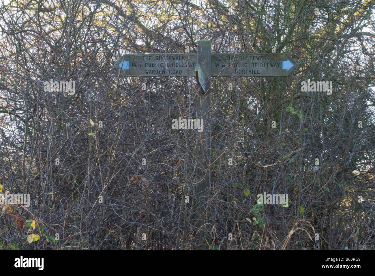 Old warden hi-res stock photography and images - Alamy