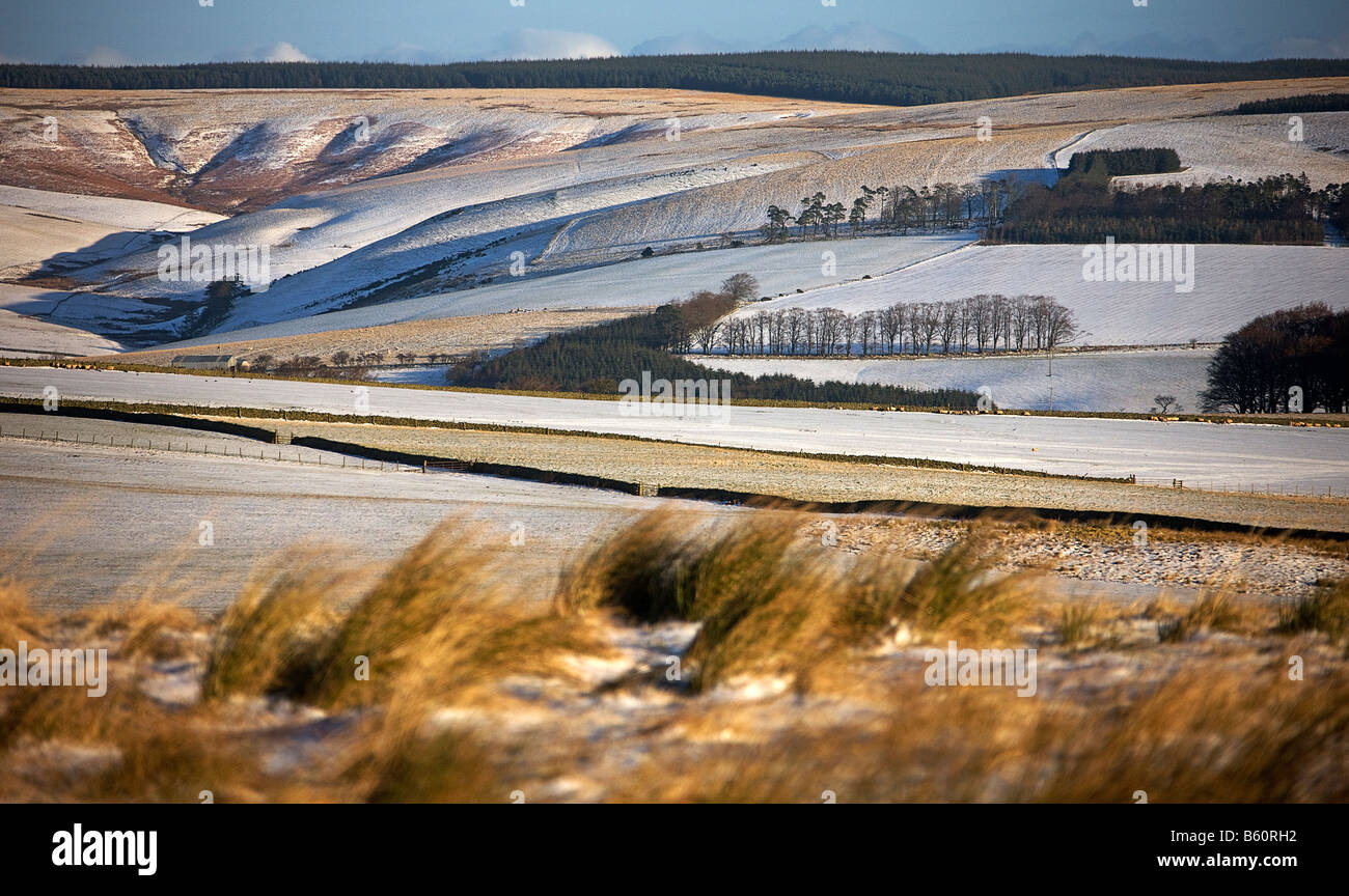 landscape.Lammermuir Hills.The Borders.Scotland Stock Photo - Alamy