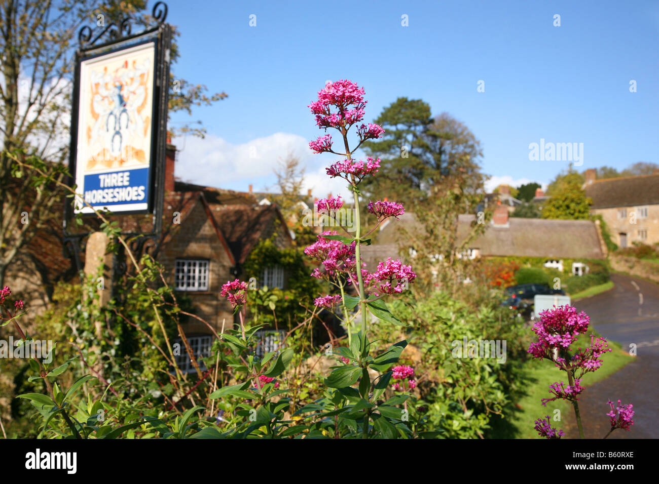 Powerstock village hi-res stock photography and images - Alamy