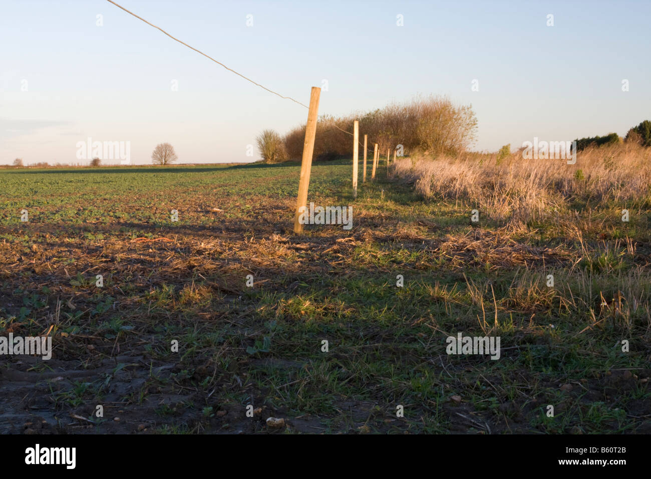 Fence Line Across A Field Stock Photo - Alamy