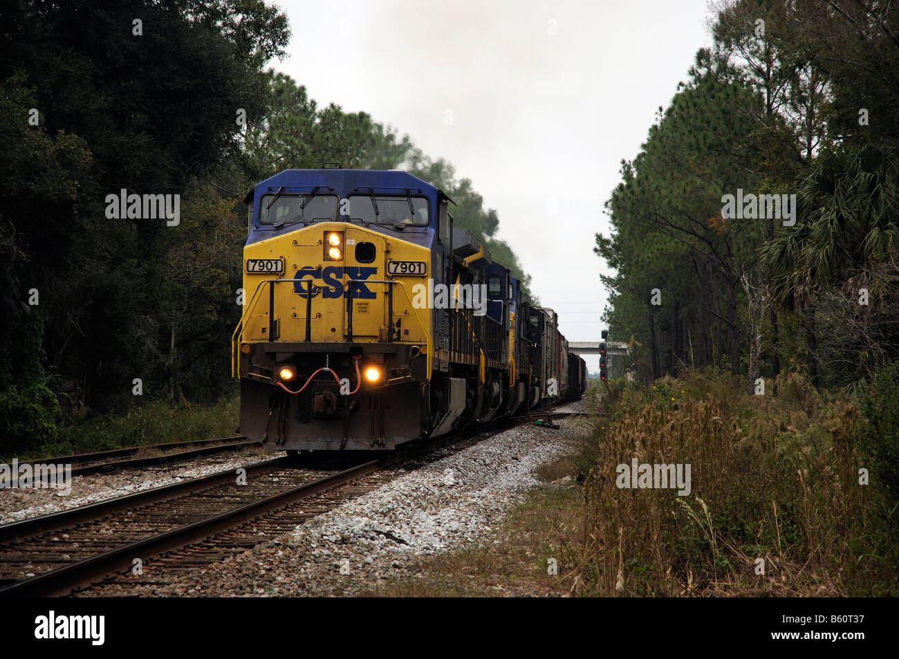 Csx train locomotives hi-res stock photography and images - Alamy