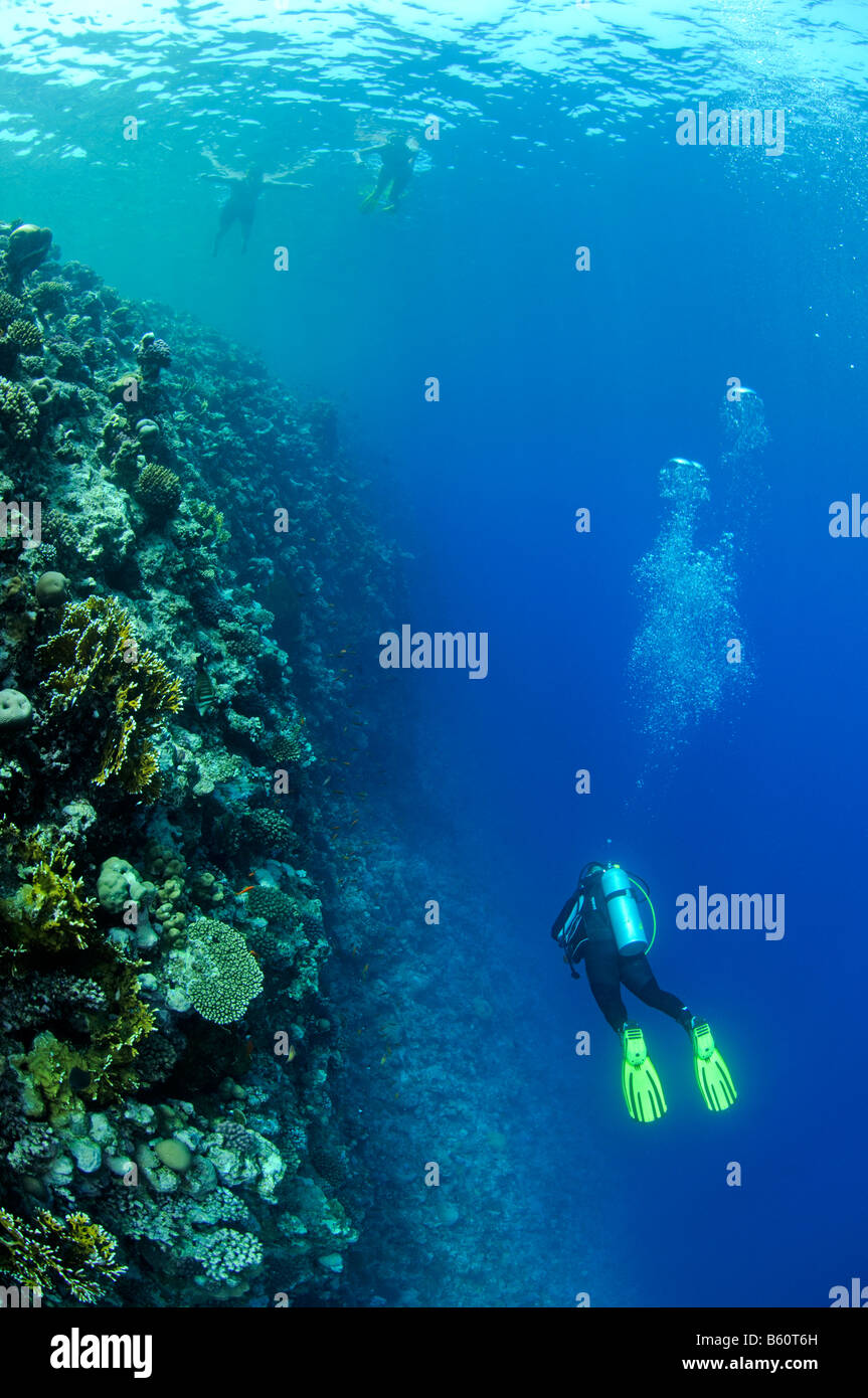 Scuba diving on a deep wall hi-res stock photography and images - Alamy