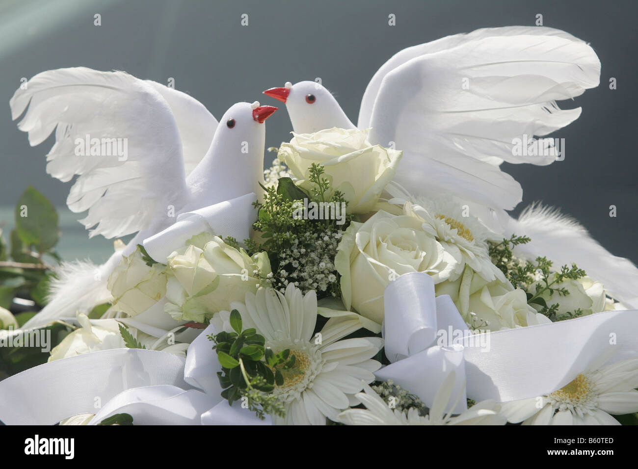 Pigeon car hi-res stock photography and images - Alamy