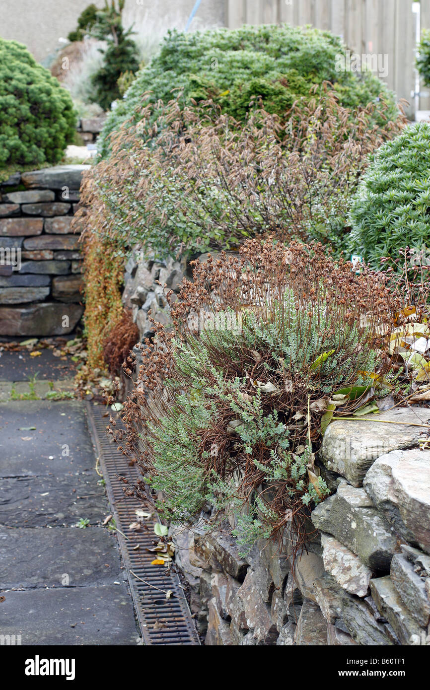 Raised rock bed garden hi-res stock photography and images - Alamy