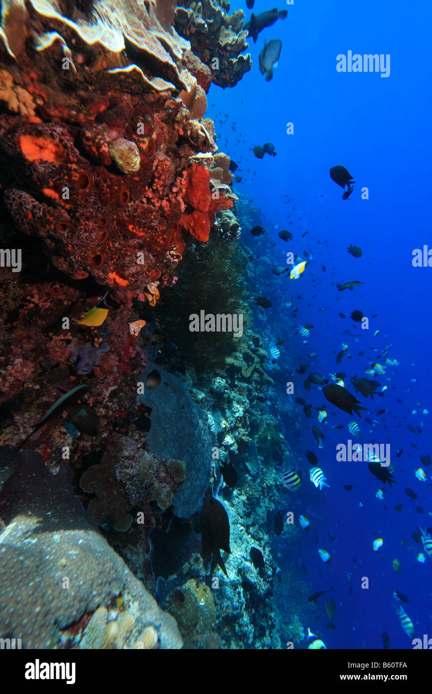 Wall off hi-res stock photography and images - Alamy