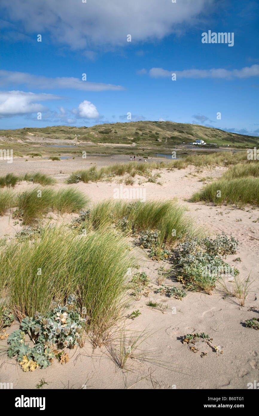 Gwithian Sands High Resolution Stock Photography and Images - Alamy