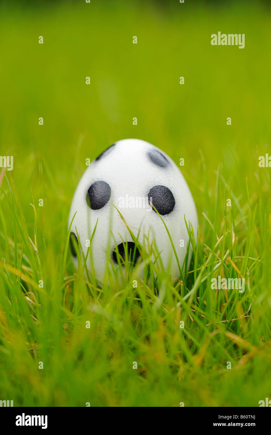 Football egg hi-res stock photography and images - Alamy