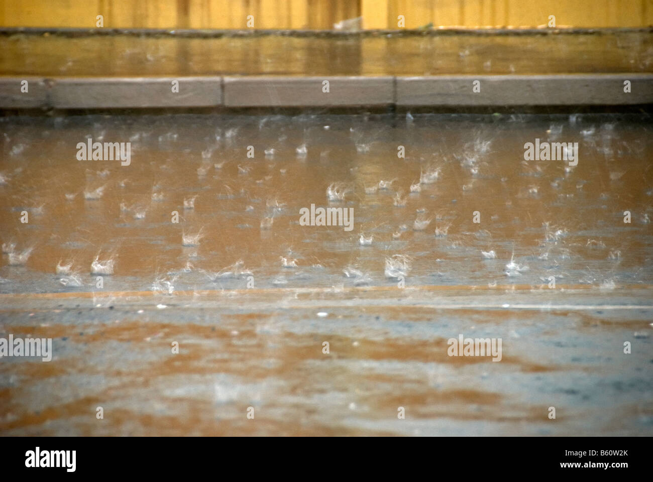 very heavy rain falling on the roadside Stock Photo - Alamy