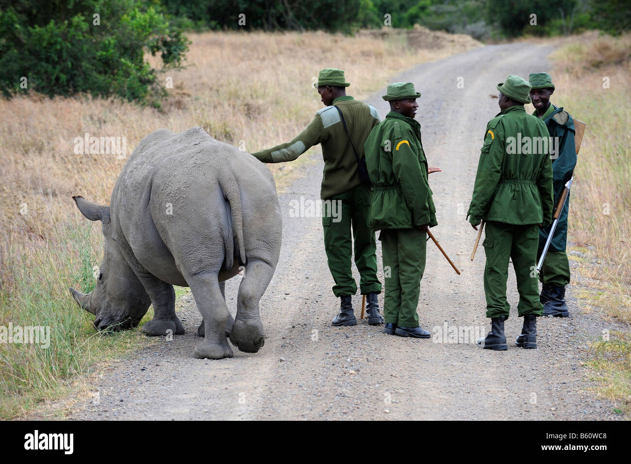 African game ranger hi-res stock photography and images - Alamy