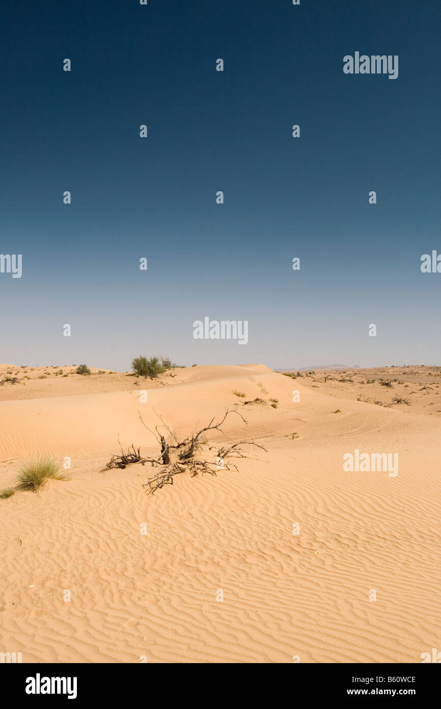 the Al Awir desert near Dubai, UAE Stock Photo - Alamy