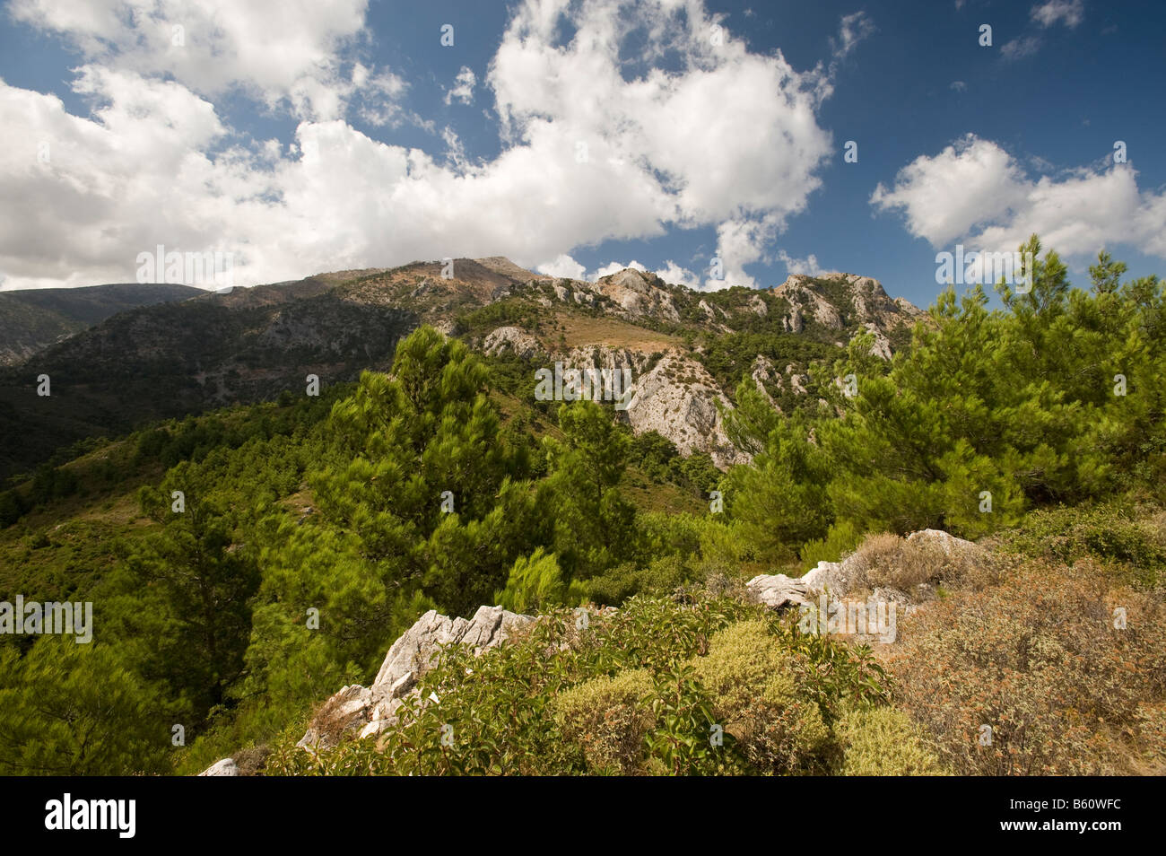 Samos landscape scenic hi-res stock photography and images - Alamy