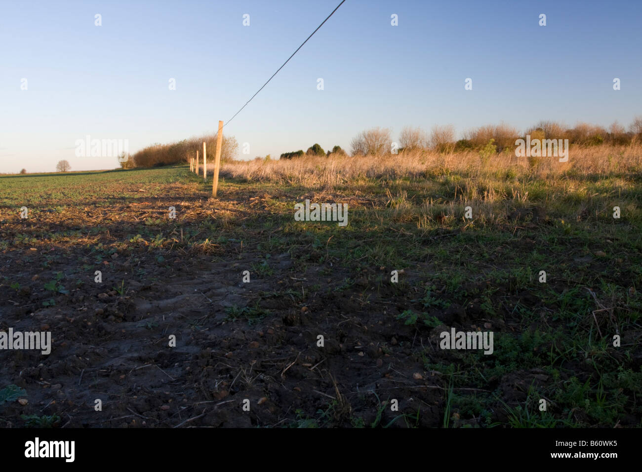 Fence Line Across A Field Stock Photo - Alamy