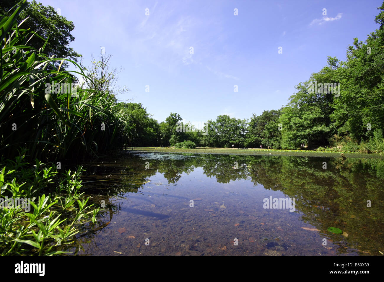 Keston lakes near Orpington Kent UK Stock Photo - Alamy