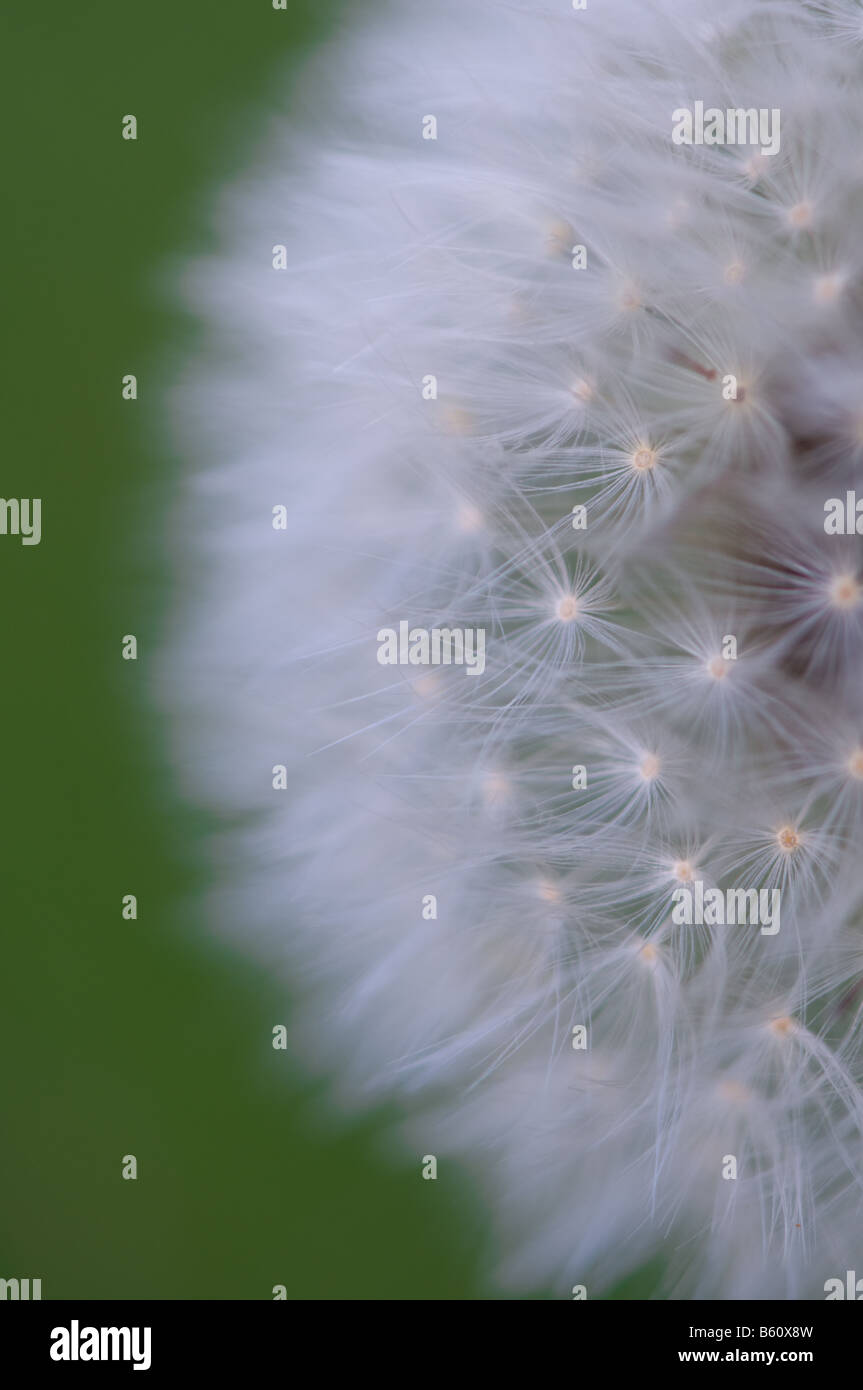 Shallow Dent High Resolution Stock Photography and Images - Alamy