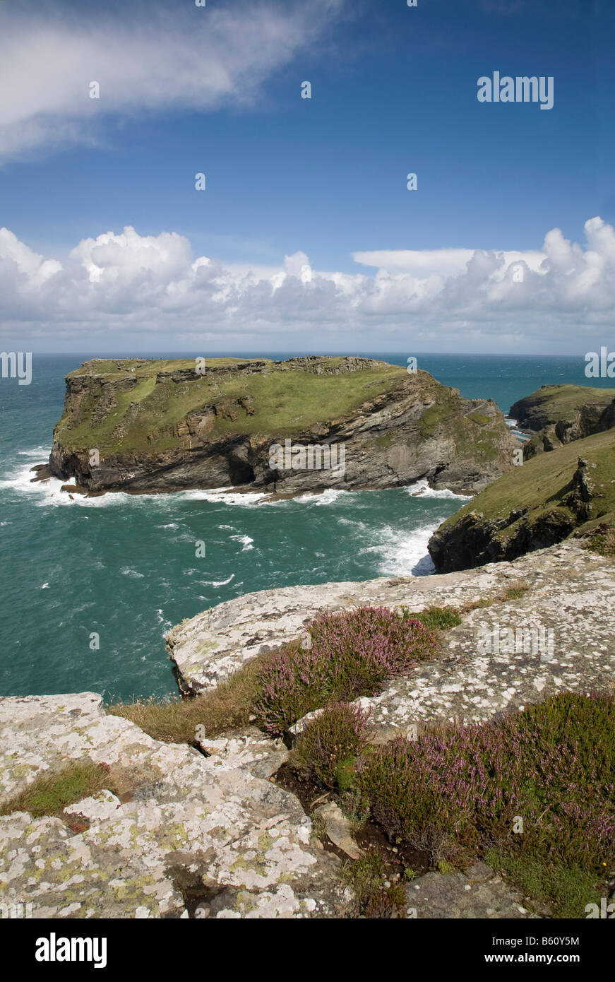 tintagel head and castle cornwall Stock Photo - Alamy