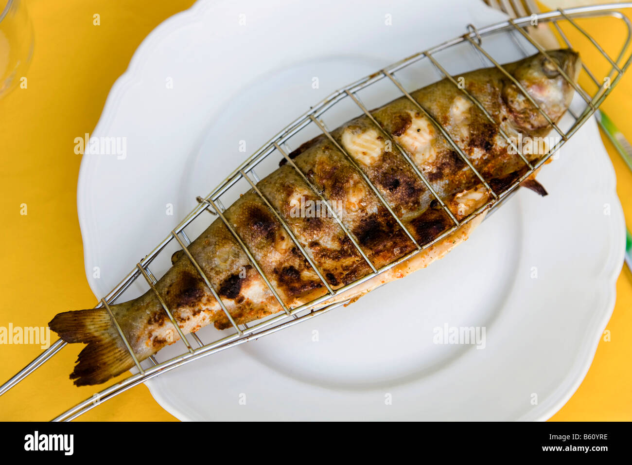 Grilling trout hi-res stock photography and images - Alamy