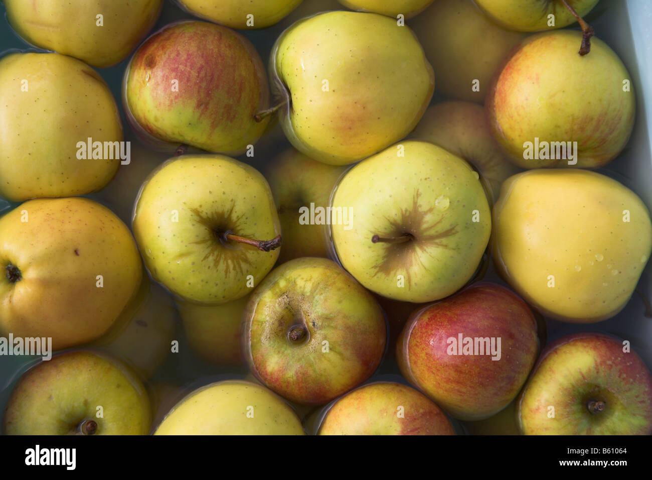 Apple floating in water hi-res stock photography and images - Alamy
