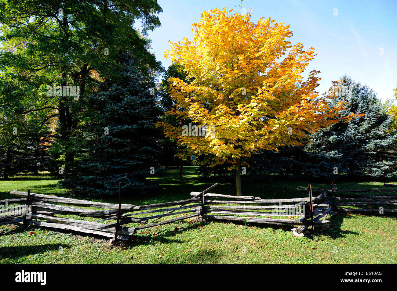Indiana fall colors hi-res stock photography and images - Alamy