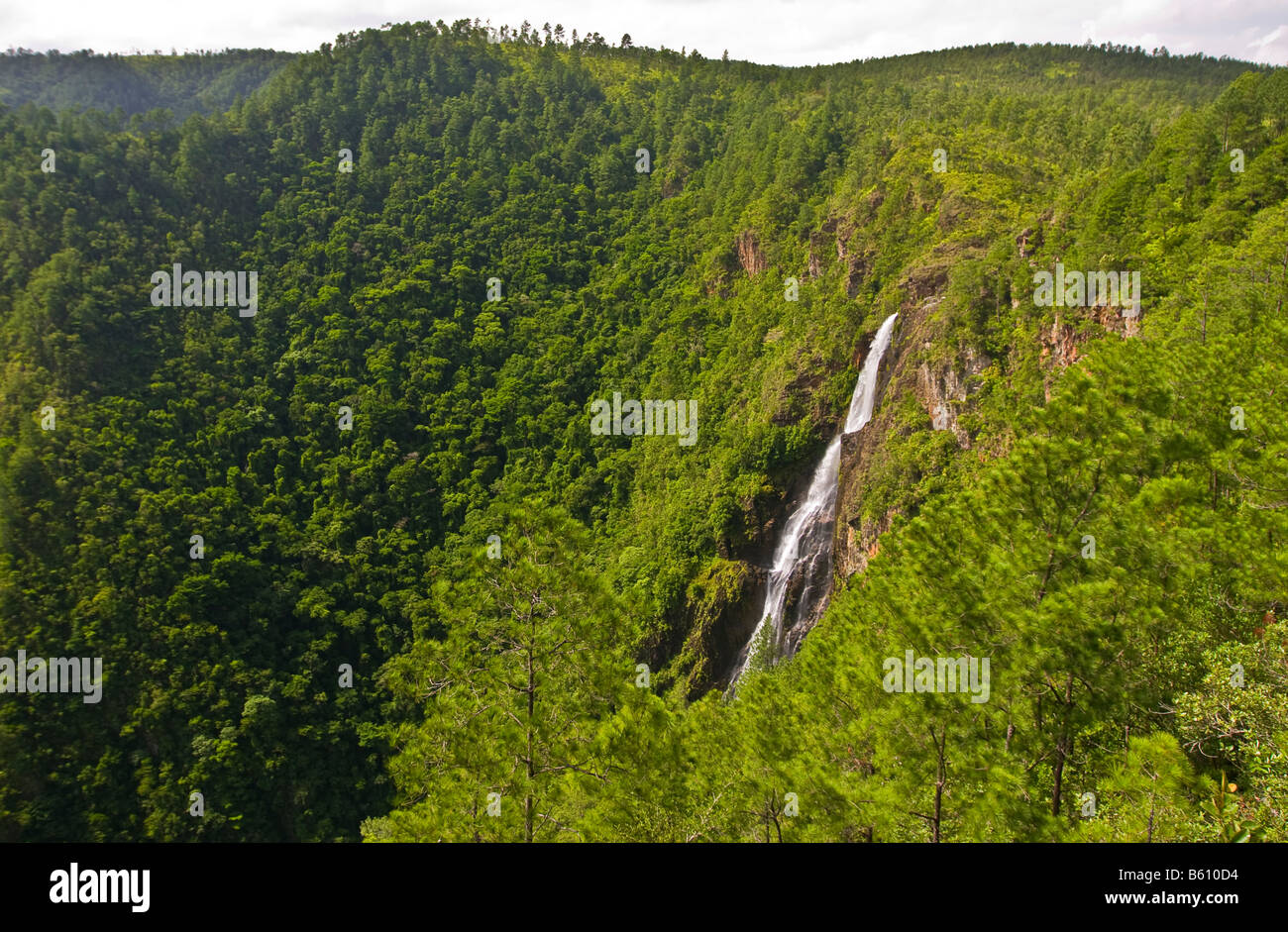 CAYO DISTRICT BELIZE Thousand Foot Falls in the lush Mountain Pine ...