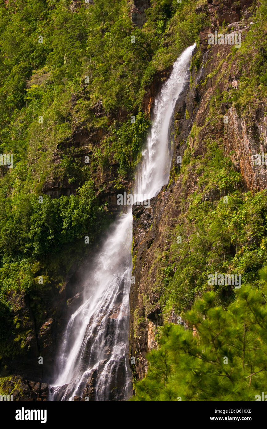 CAYO DISTRICT BELIZE Thousand Foot Falls in the lush Mountain Pine ...