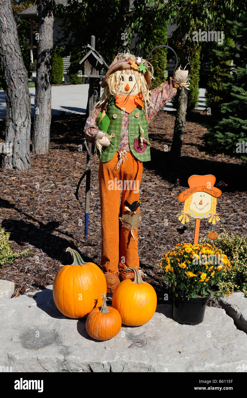 Scarecrow display hi-res stock photography and images - Alamy