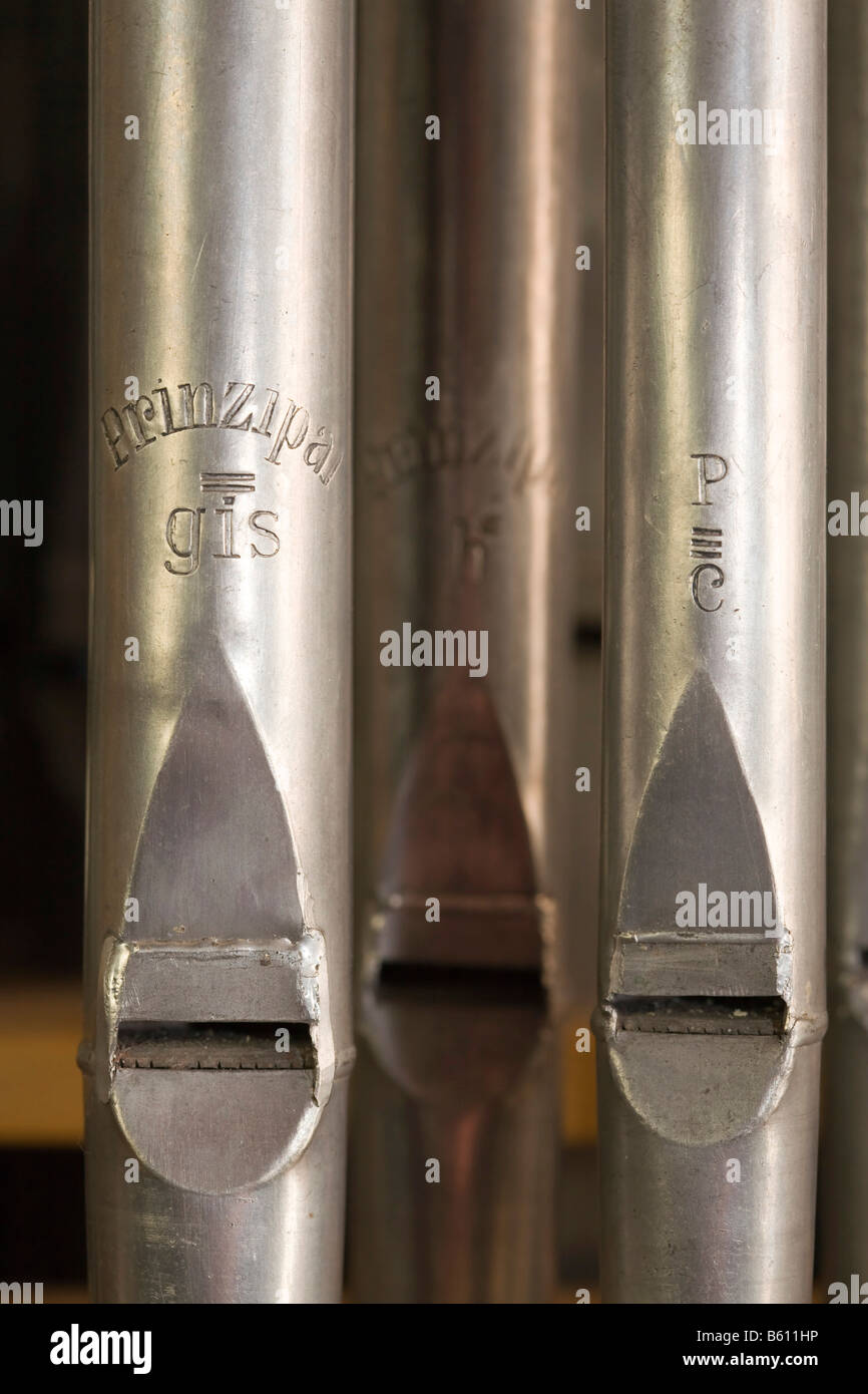 Principal organs hi-res stock photography and images - Alamy