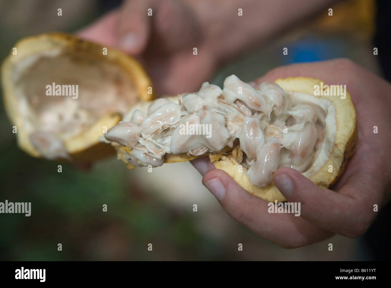 Fruit pod hi-res stock photography and images - Alamy