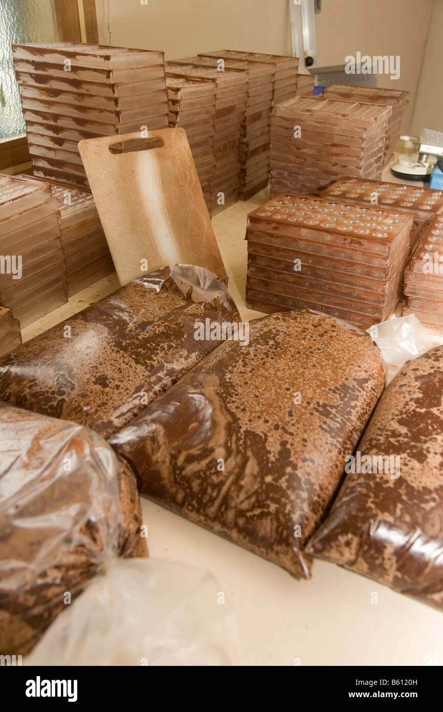 Packed chocolate with 70% cocoa, molds for praline and chocolate ...