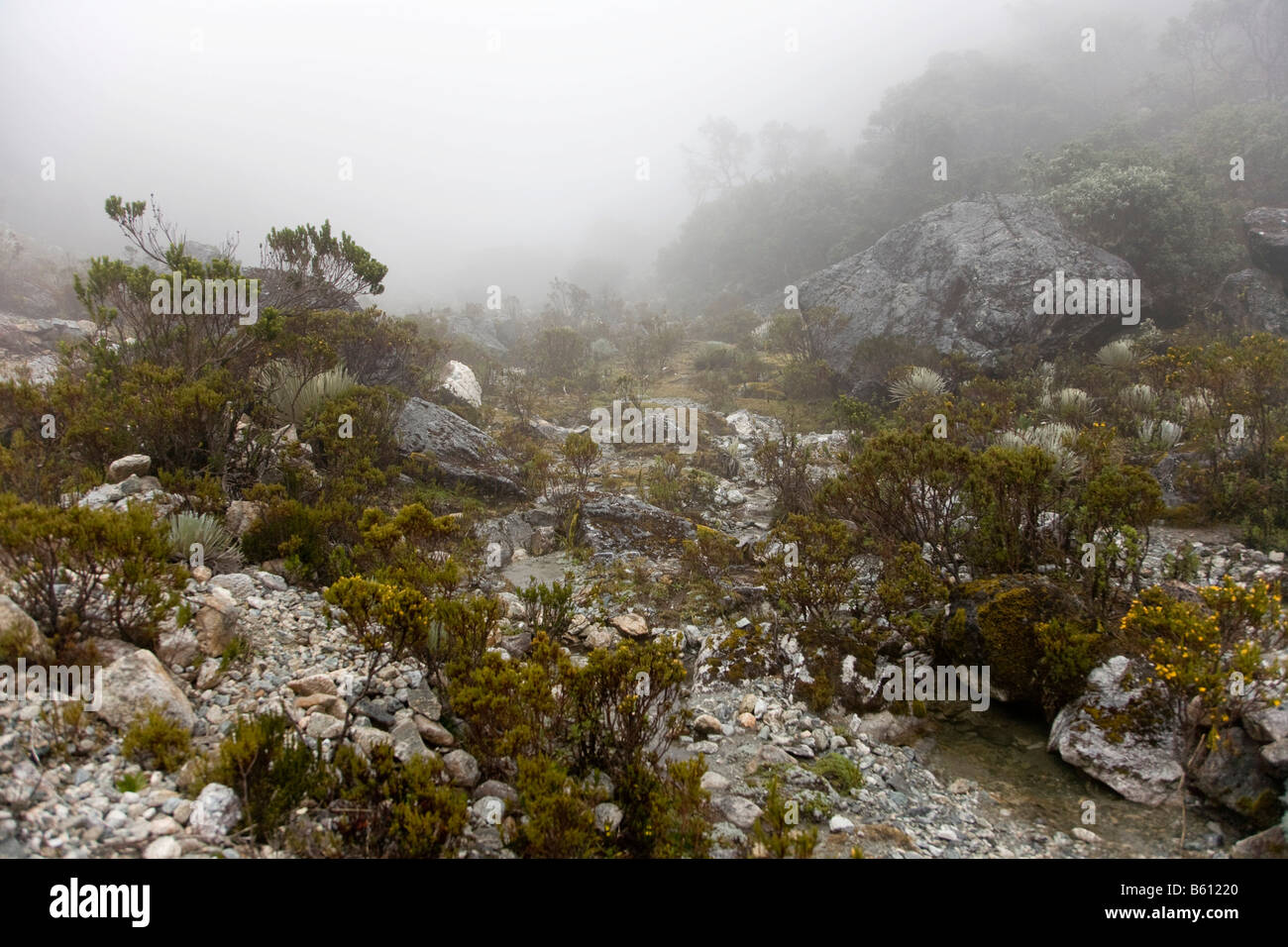 Sierra nevada national park venezuela hi-res stock photography and ...