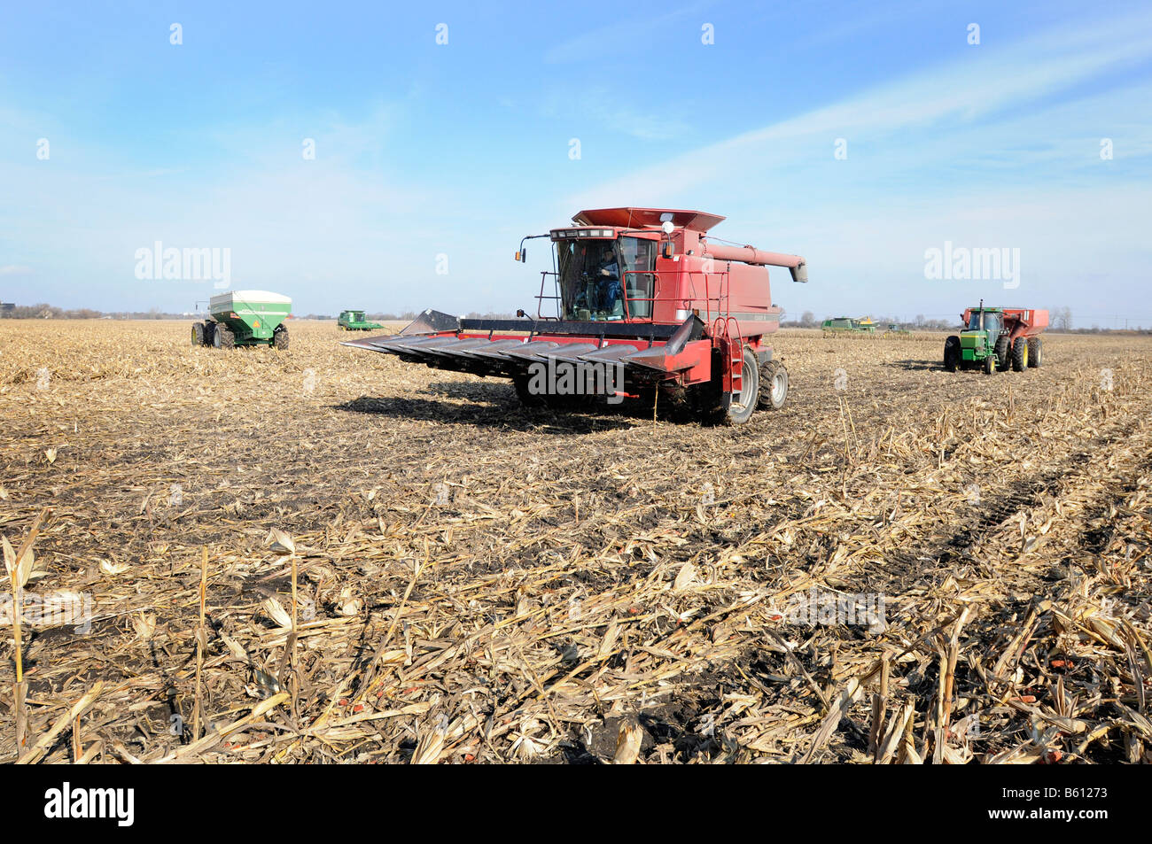 Multiple combines harvest a corn crop in the United States Stock Photo ...