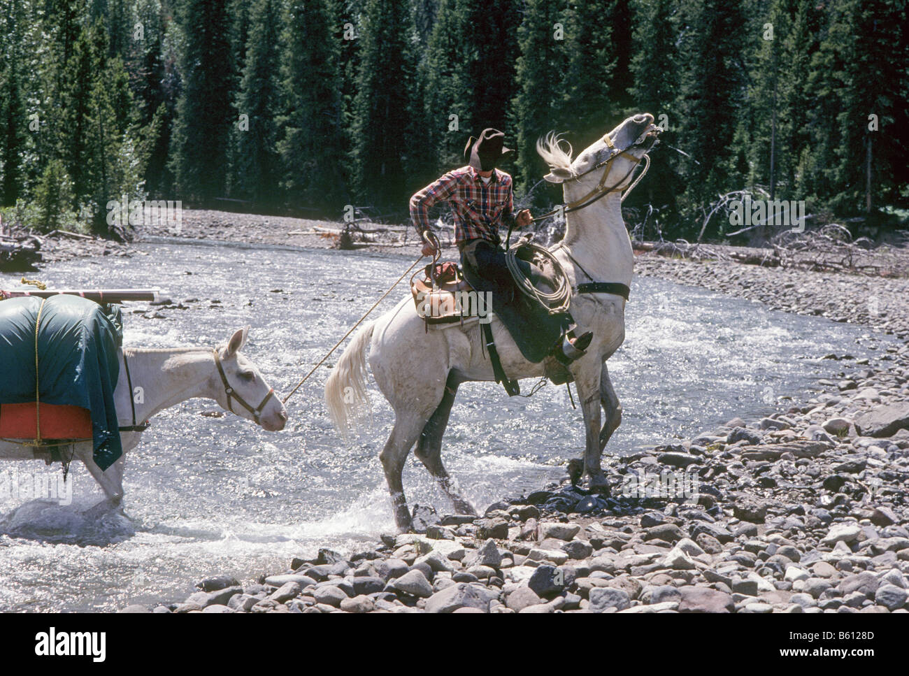 Cowboy pack horse crossing hi-res stock photography and images - Alamy