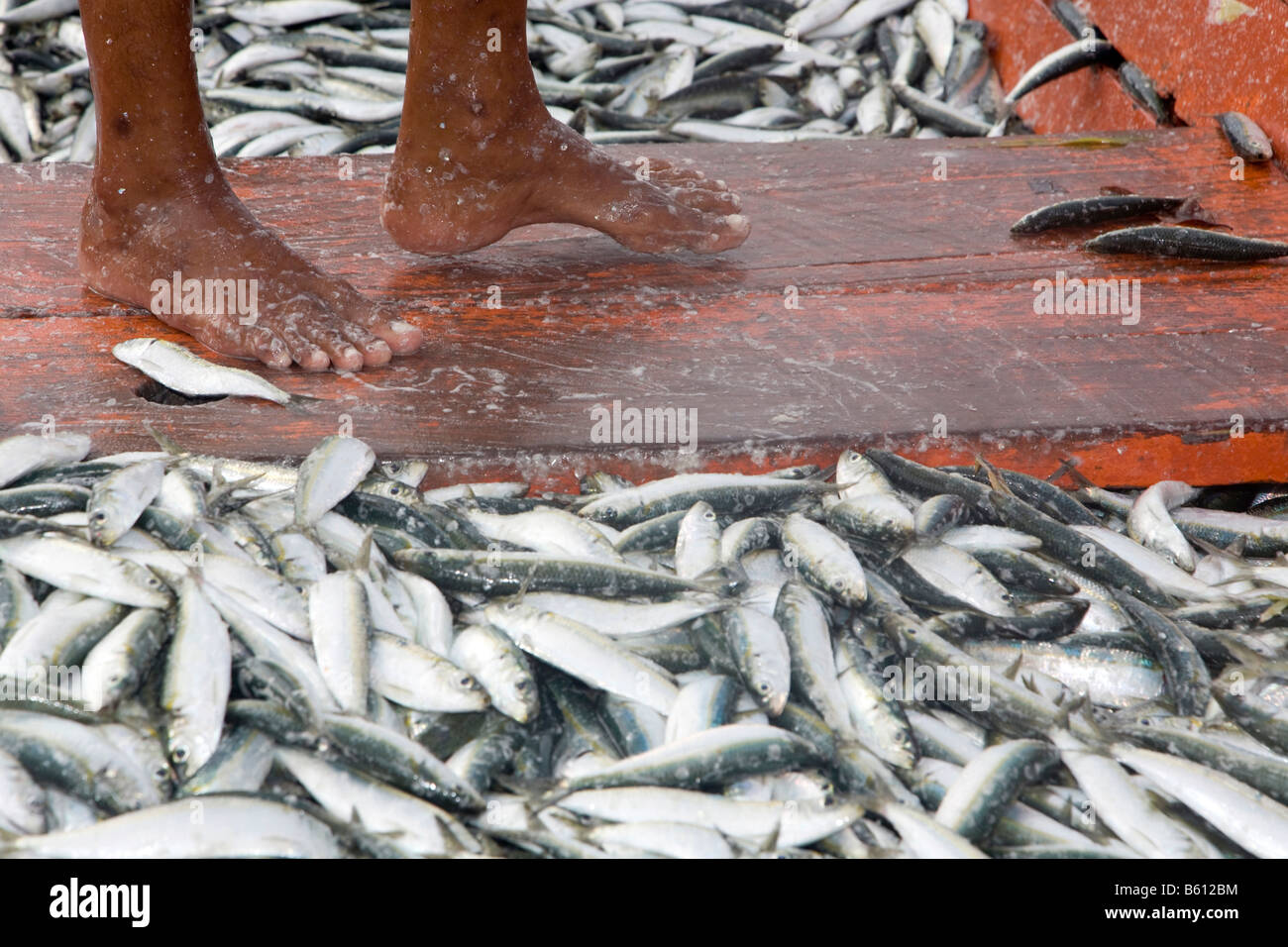 Venezuelan fishing boat hi-res stock photography and images - Alamy