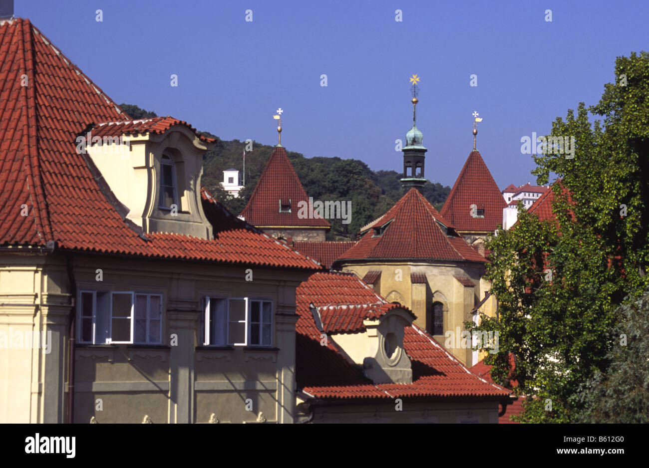 Green Tree Leaves and Red Tiled Rooftops on Kampa Island View from ...