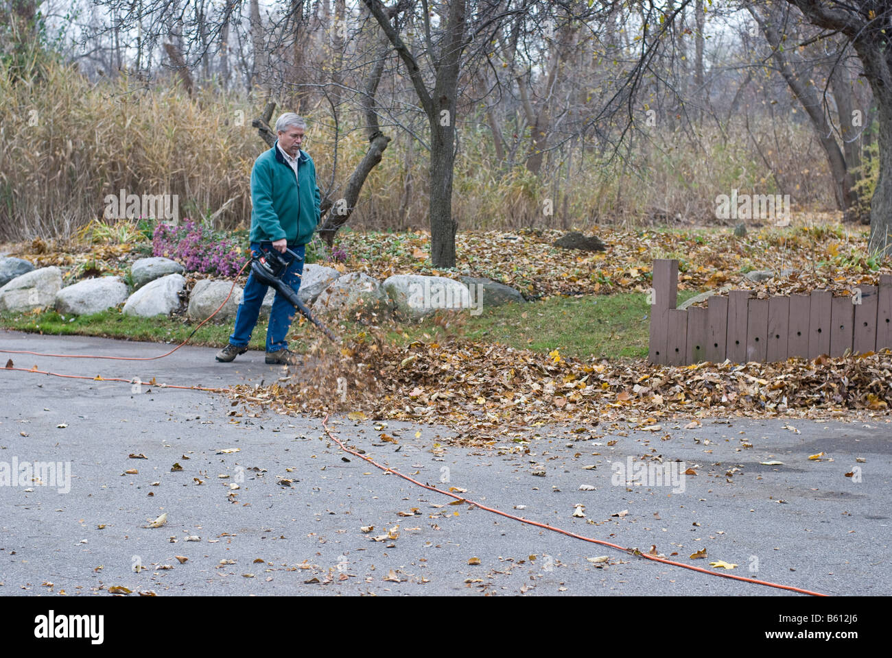 Man doing fall leaf clean up with an electric leaf blower Stock Photo ...