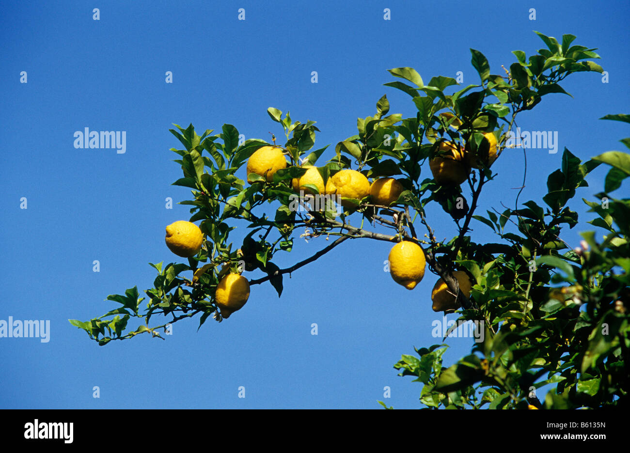 South zakynthos island hi-res stock photography and images - Alamy