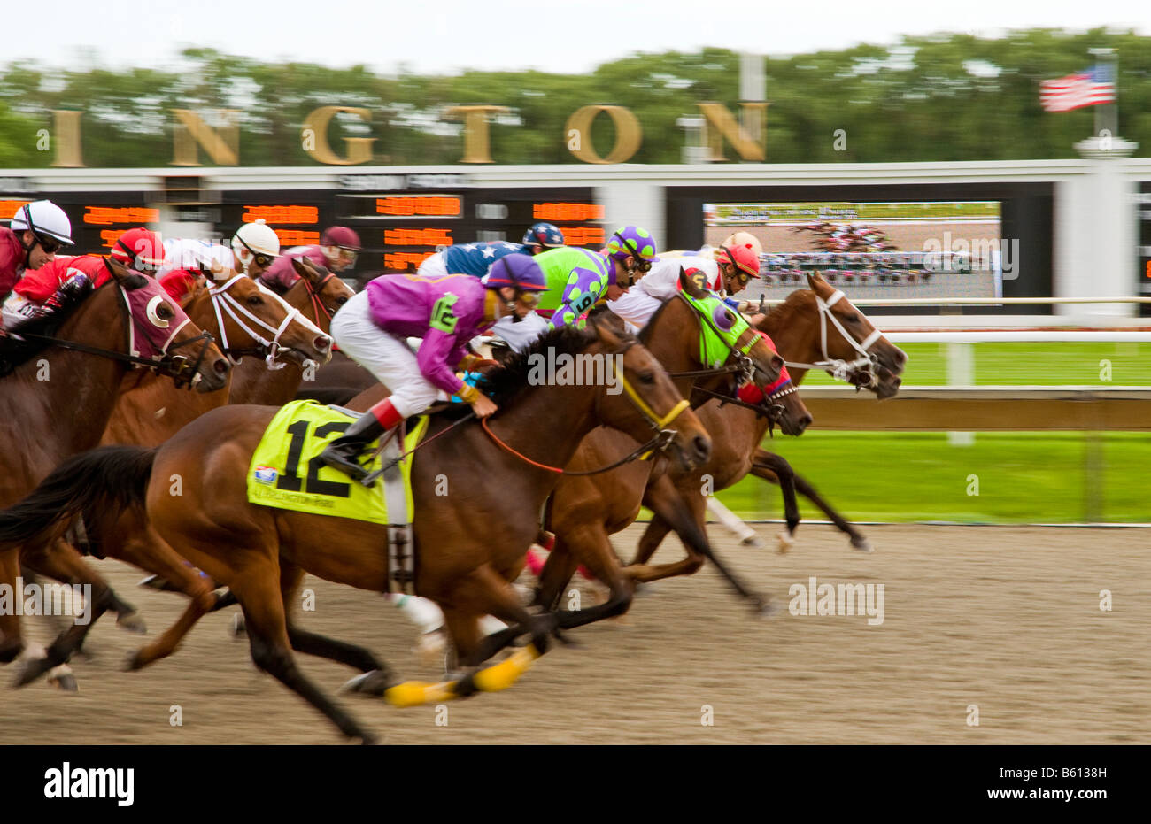 Thoroughbreds Stock Photos & Thoroughbreds Stock Images - Alamy