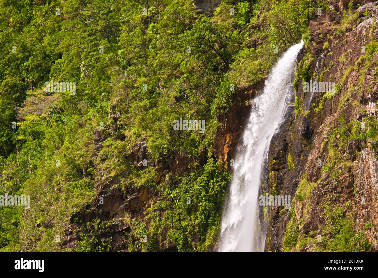 CAYO DISTRICT BELIZE Thousand Foot Falls in the lush Mountain Pine ...