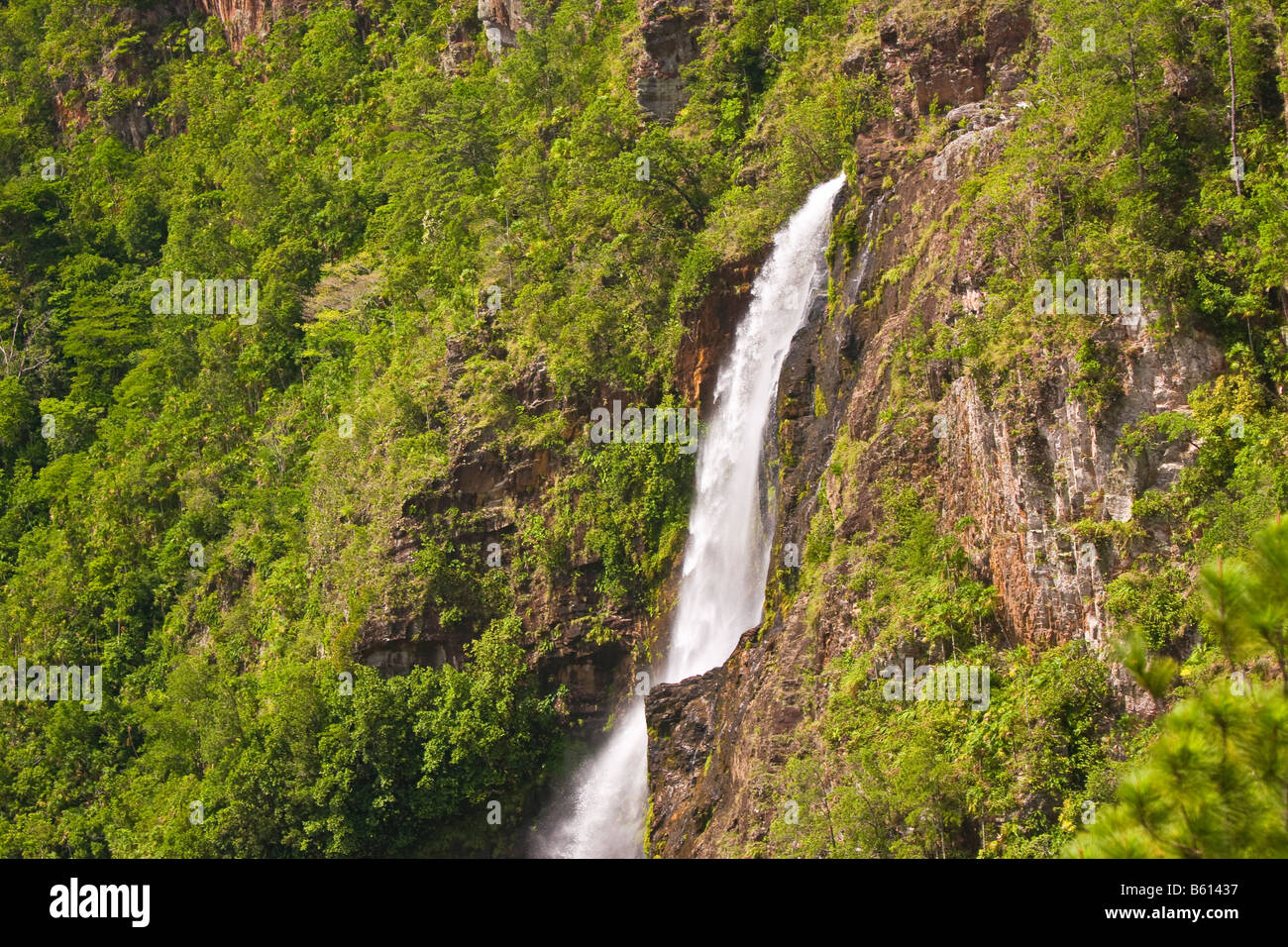 CAYO DISTRICT BELIZE Thousand Foot Falls in the lush Mountain Pine ...
