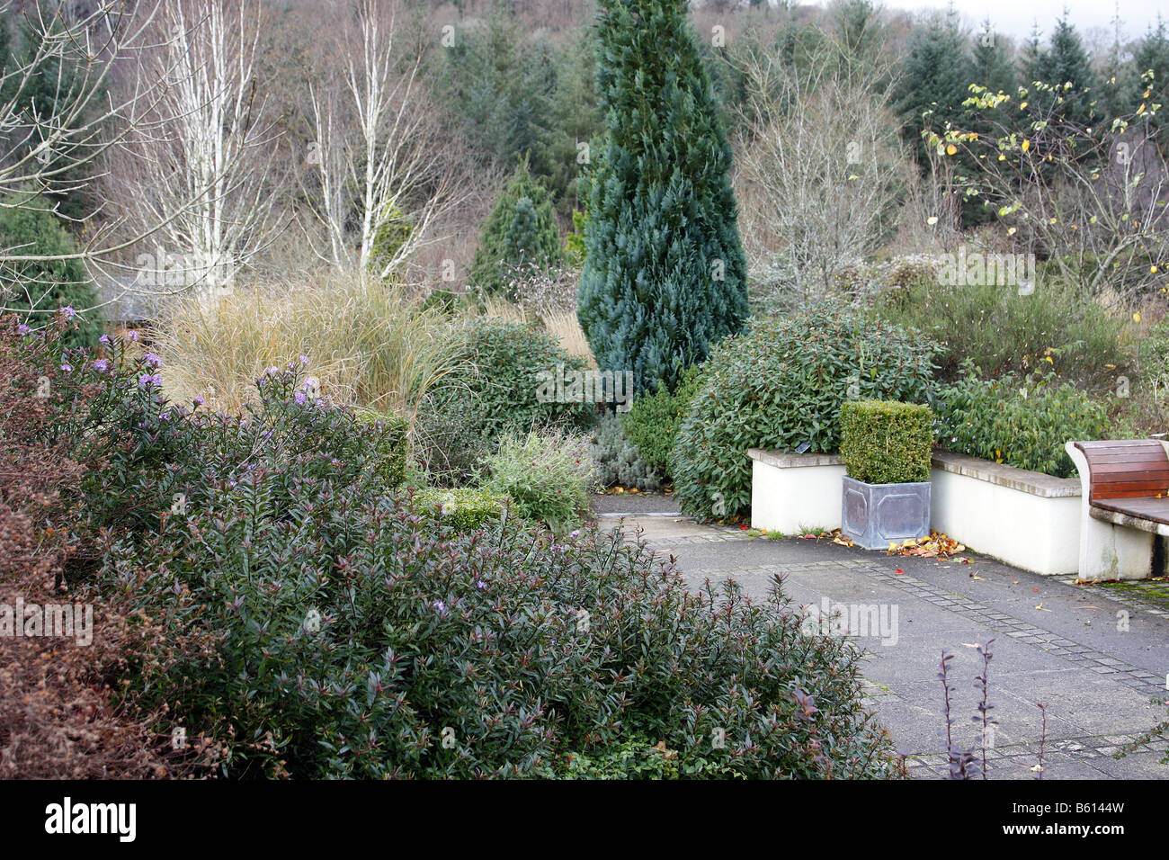 MODEL GARDENS AT RHS ROSEMOOR GARDEN DEVON PHOTOGRAPHED WITH RHS PERMIT ...