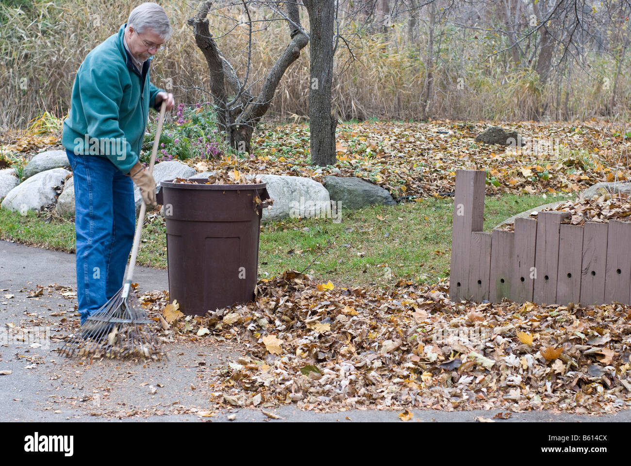 Man doing fall leaf clean up with rake and leaf blower Stock Photo - Alamy