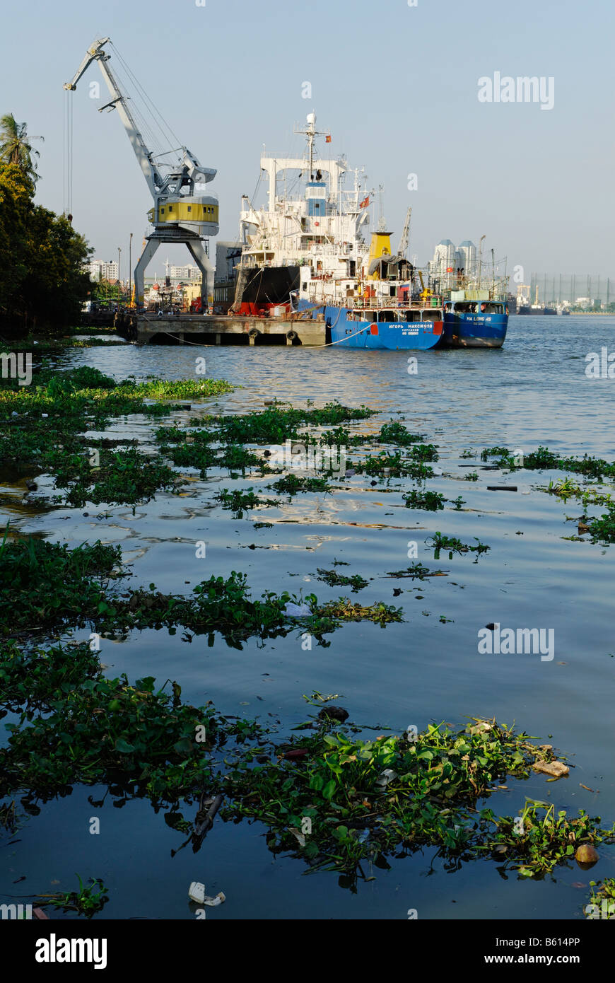 Ships in the harbour of Saigon, Ho Chi Minh City, Vietnam, Asia Stock ...