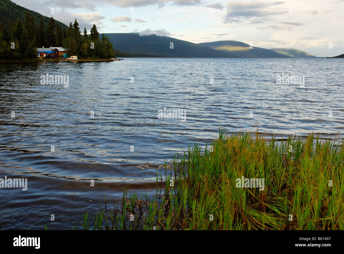 Quiet lake in Yukon, Canada, North America Stock Photo - Alamy