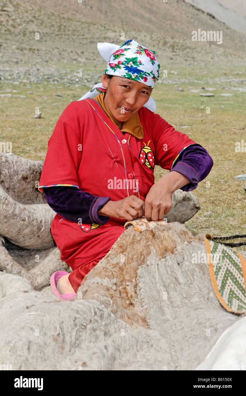 Kazakh, Mongolian woman working on the felt of a Yurt, ger, Altai ...