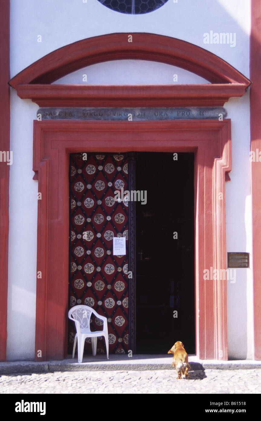 Dog entering the pink framed open door of the Monastery Church of the ...