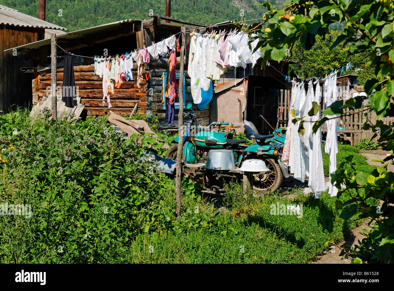 Typical Siberian farmyard, log cabin, Anos, Katun Valley, Altai ...
