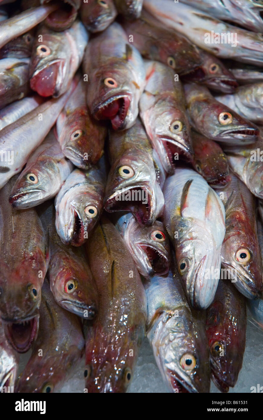 Piled fish hi-res stock photography and images - Alamy