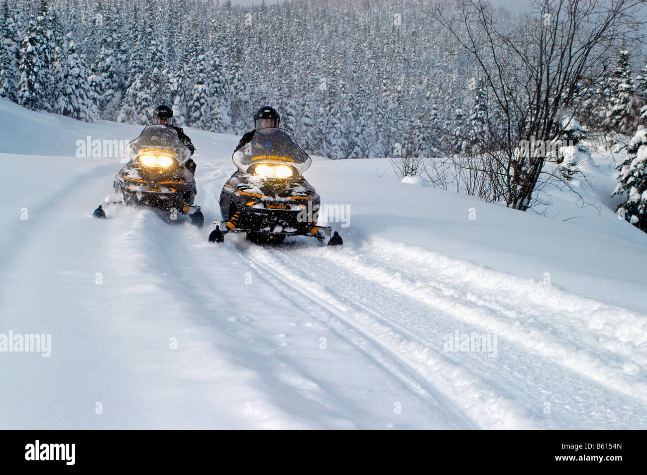 Snowmobile in snow landscape, Saguenay-Lac Saint Jean, Mont Valin ...