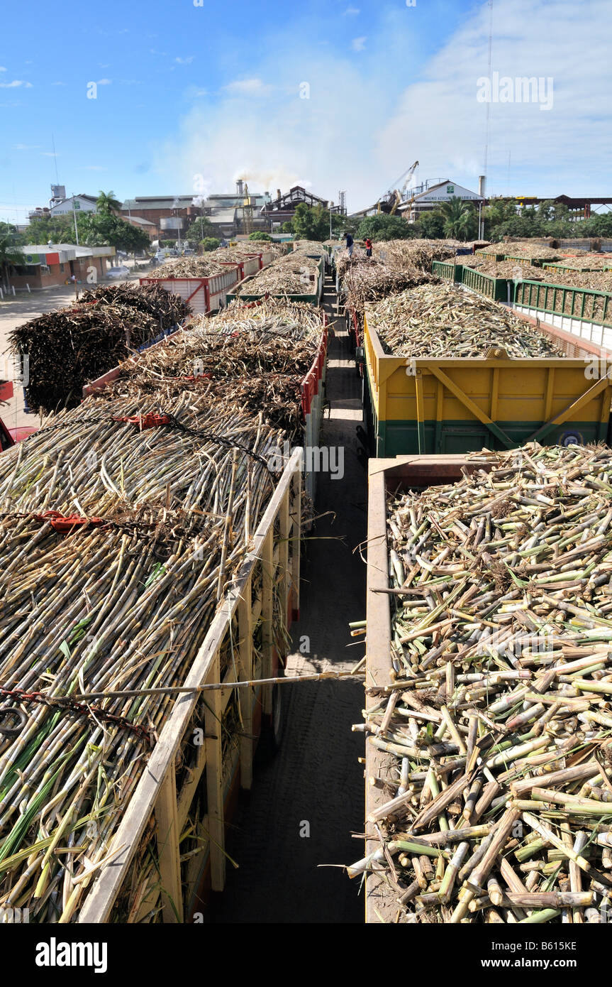 Sugar cane trailer hi-res stock photography and images - Alamy
