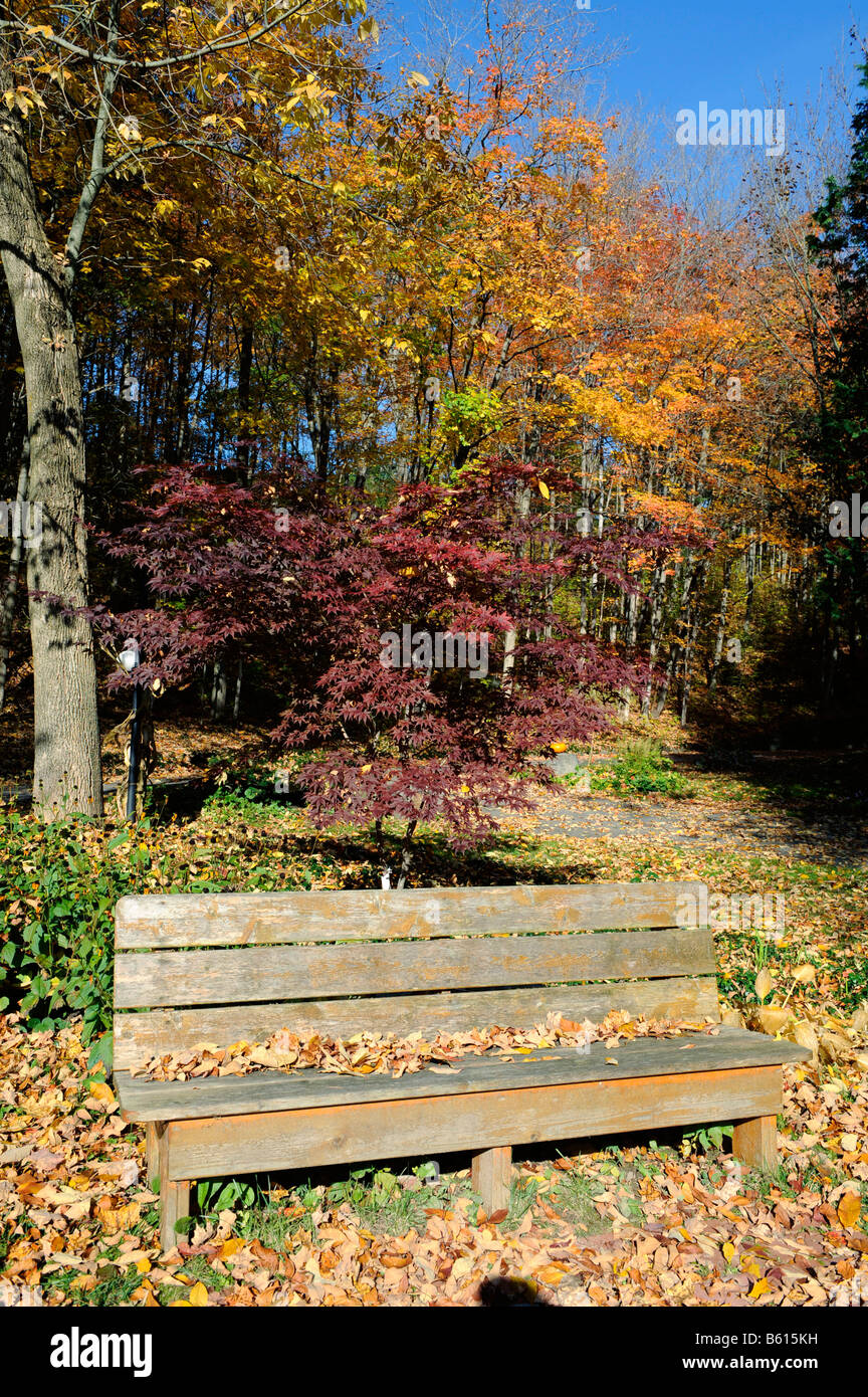 Park bench with leaves at Benmiller Inn resort in Benmiller Ontario ...