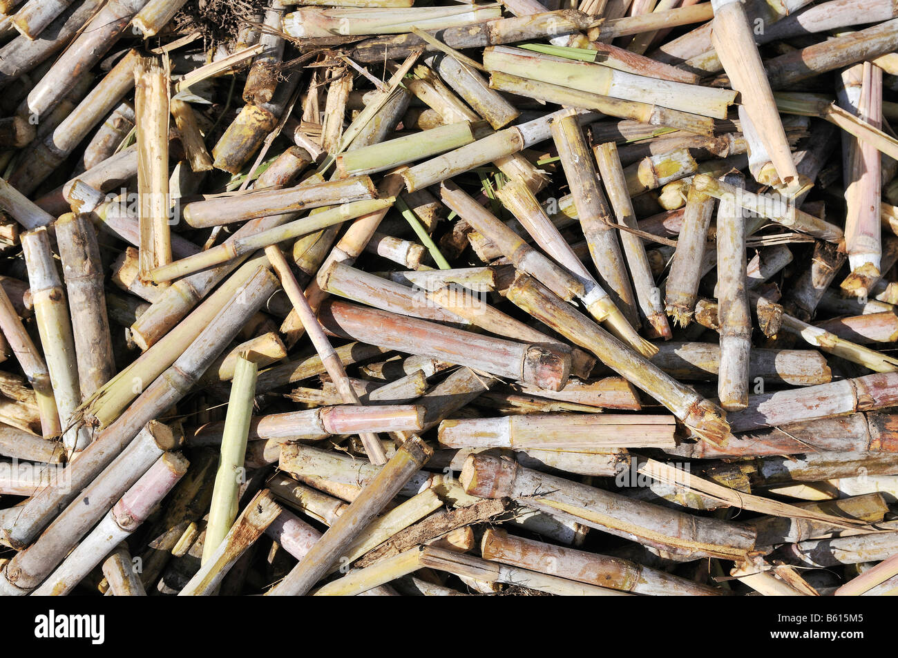 Ethanol production hi-res stock photography and images - Alamy